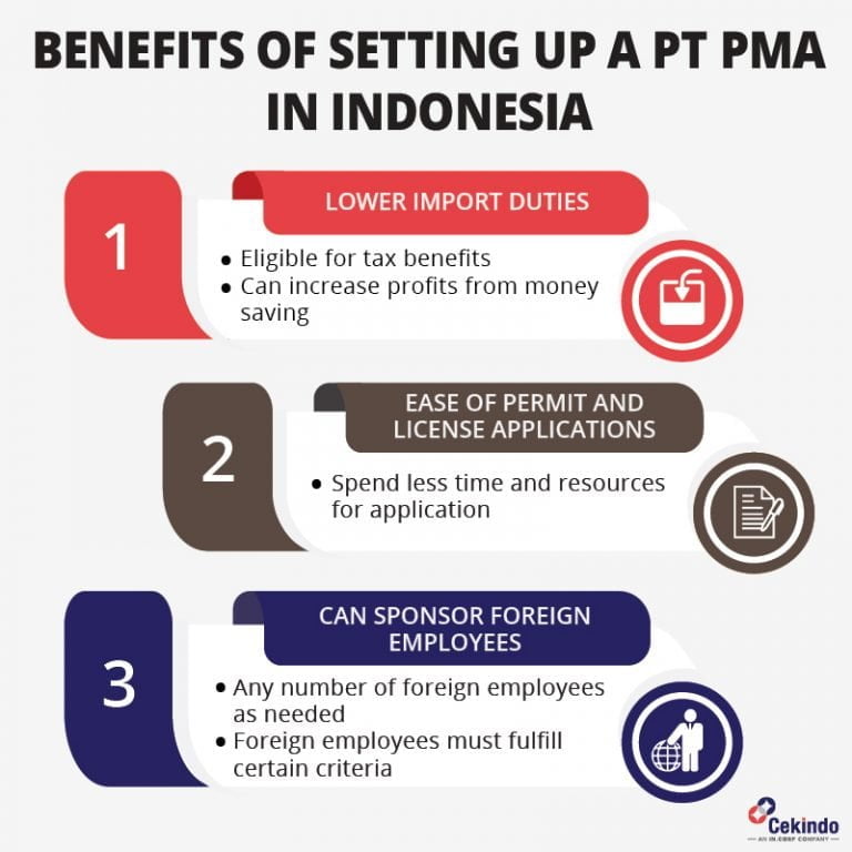Business Solo: Benefits of Setting up a PT PMA for Foreigners