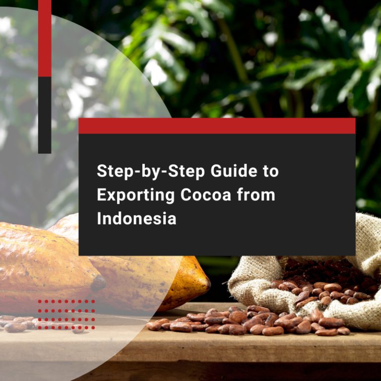 Cocoa in Indonesia: How to Export & Succeed
